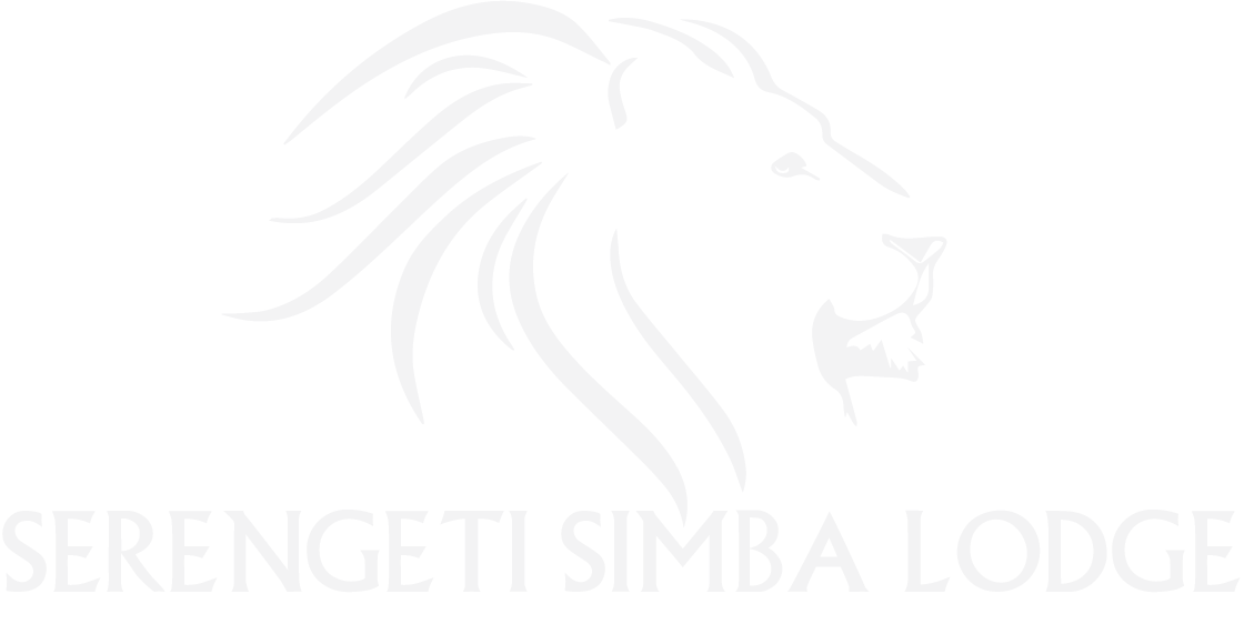 Simba Portfolio - Simba Portfolio
